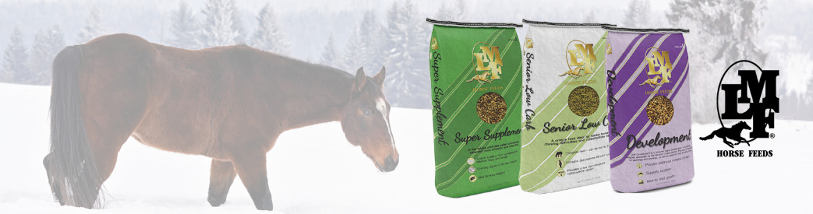 Country Store - Farm - Pet - Home - Home